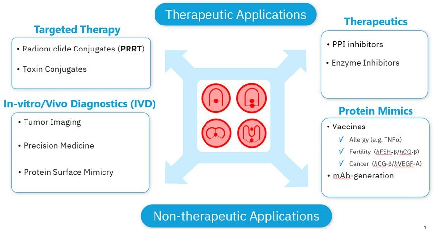 Peptide therapeutics: reconstructing protein surfaces using constrained ...