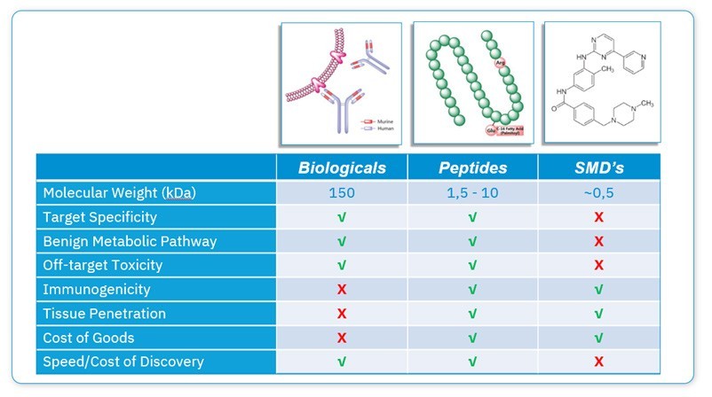 Peptide therapeutics: reconstructing protein surfaces using constrained ...
