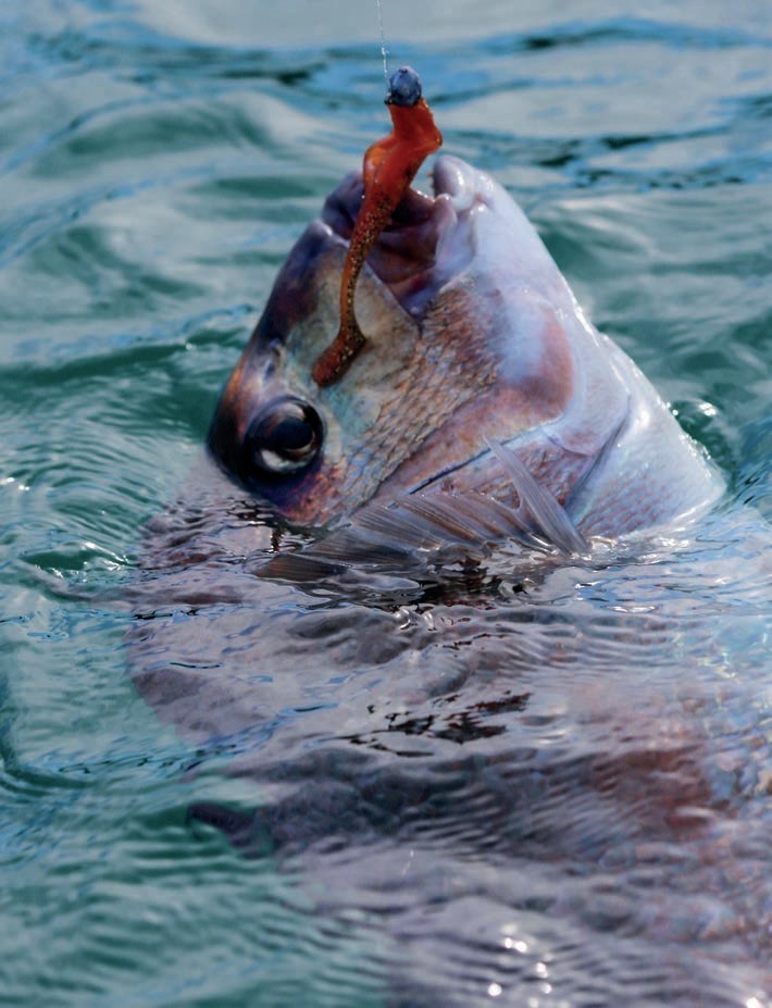 TOP 10 COLOUR COUNTDOWN