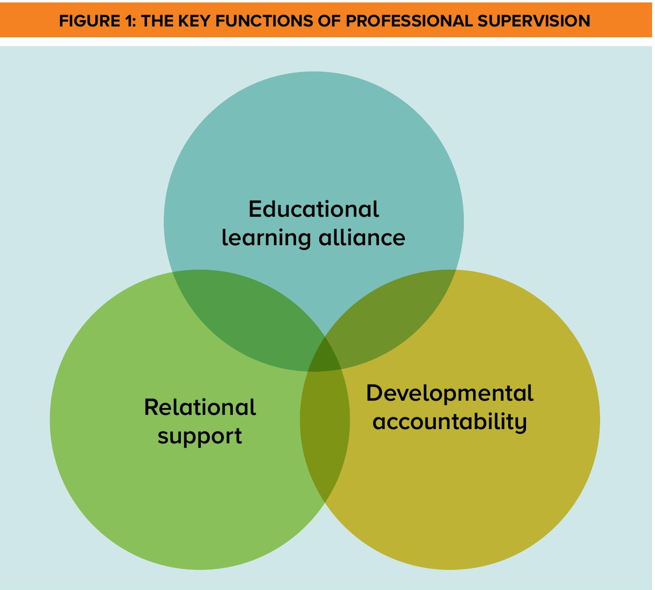 MAKING THE MOST OF SUPERVISION