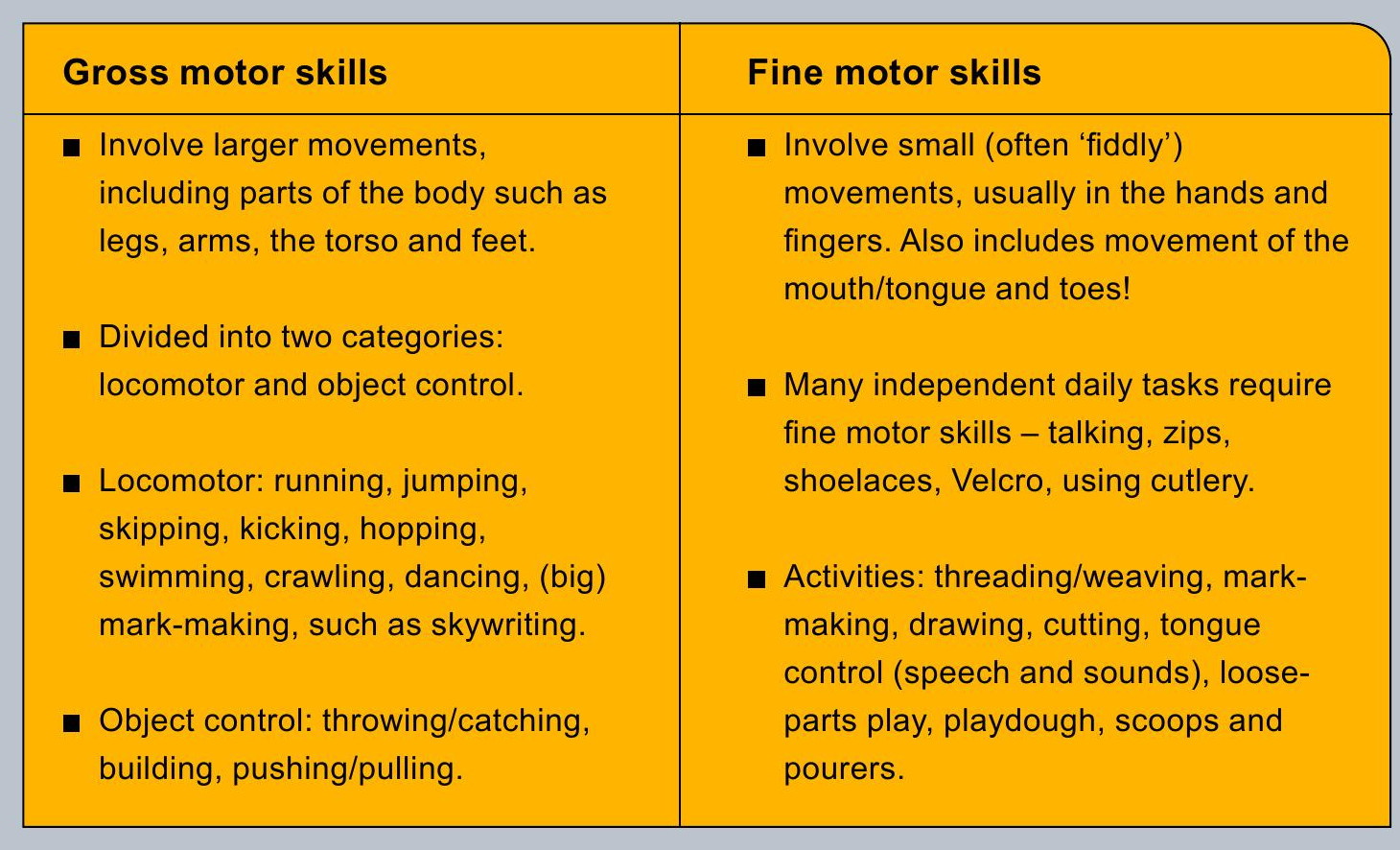 Gross motor vs fine motor skills