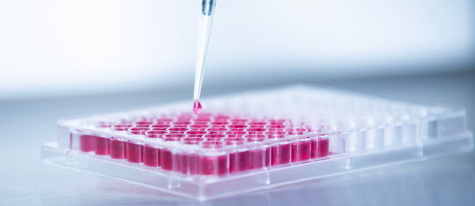 Results from Novadip phase 1b/2a trial reveal 88% efficacy