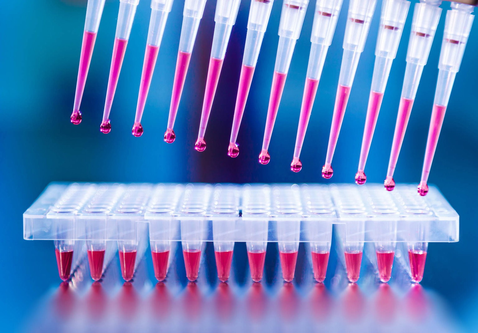 The evolution and future of DNA sequencing