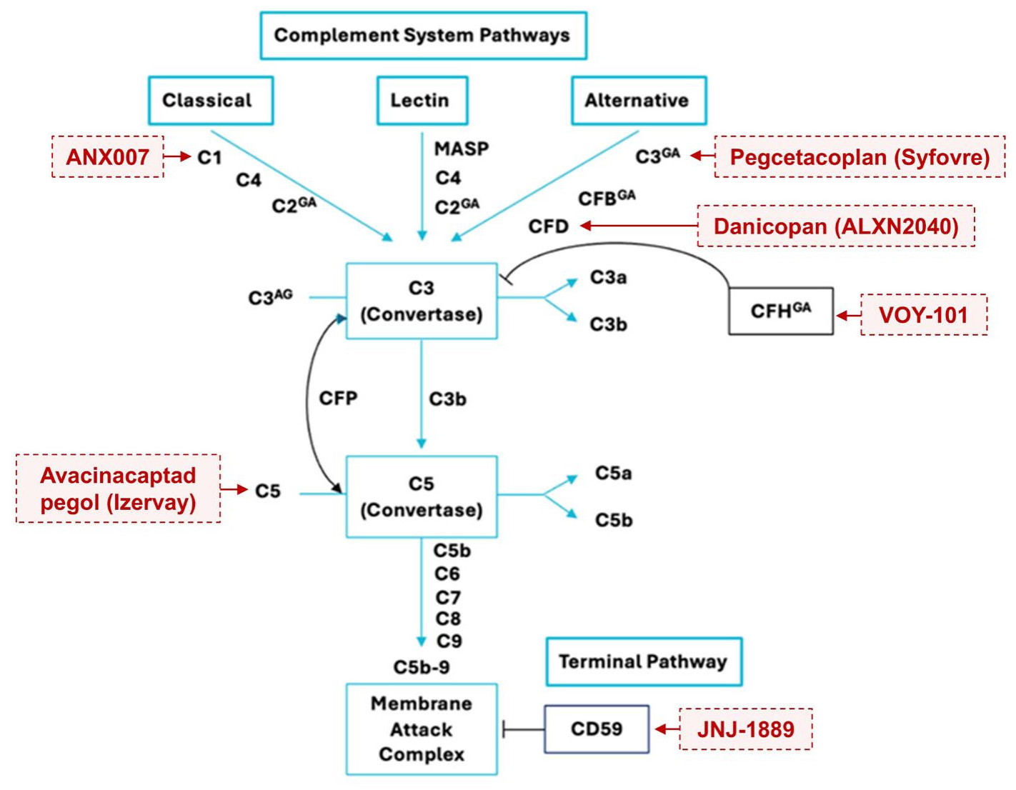 Evolving Therapies for Geographic Atrophy