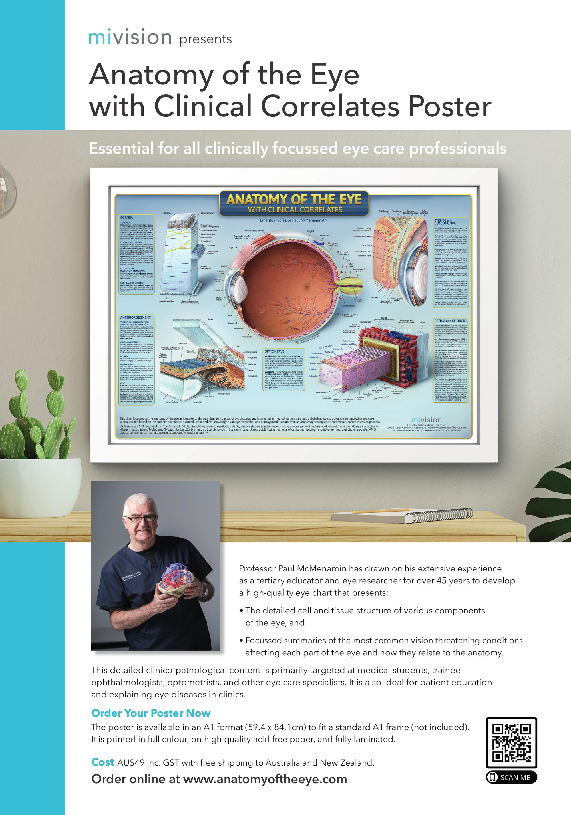ANATOMY OF THE EYE
