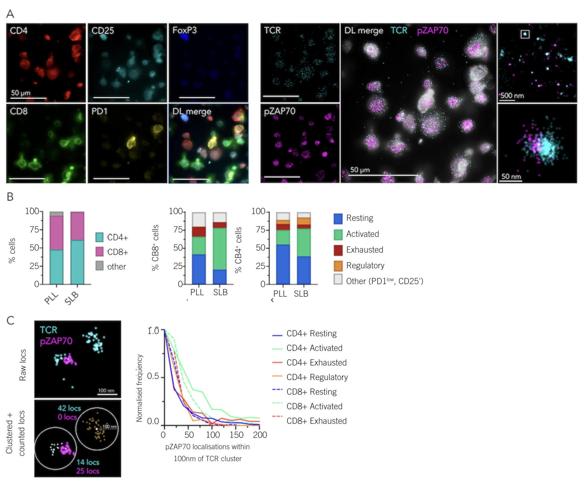 Transforming R&D workflows with automated super-resolution microscopy