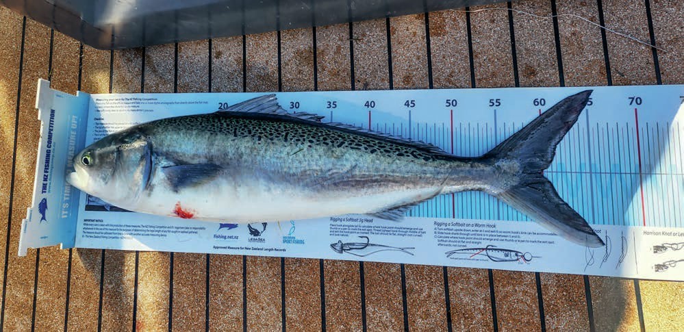 THE EXPORT NZ FISHING COMPETITION