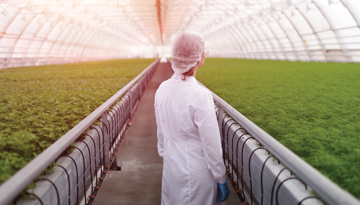 Food safety and quality acronym glossary