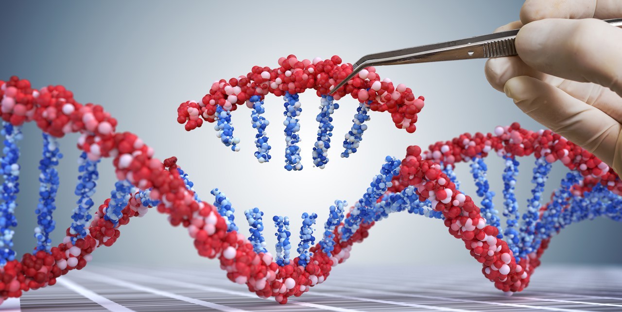 SNIPR Biome reports positive findings for first-in-human, CRISPR-based ...