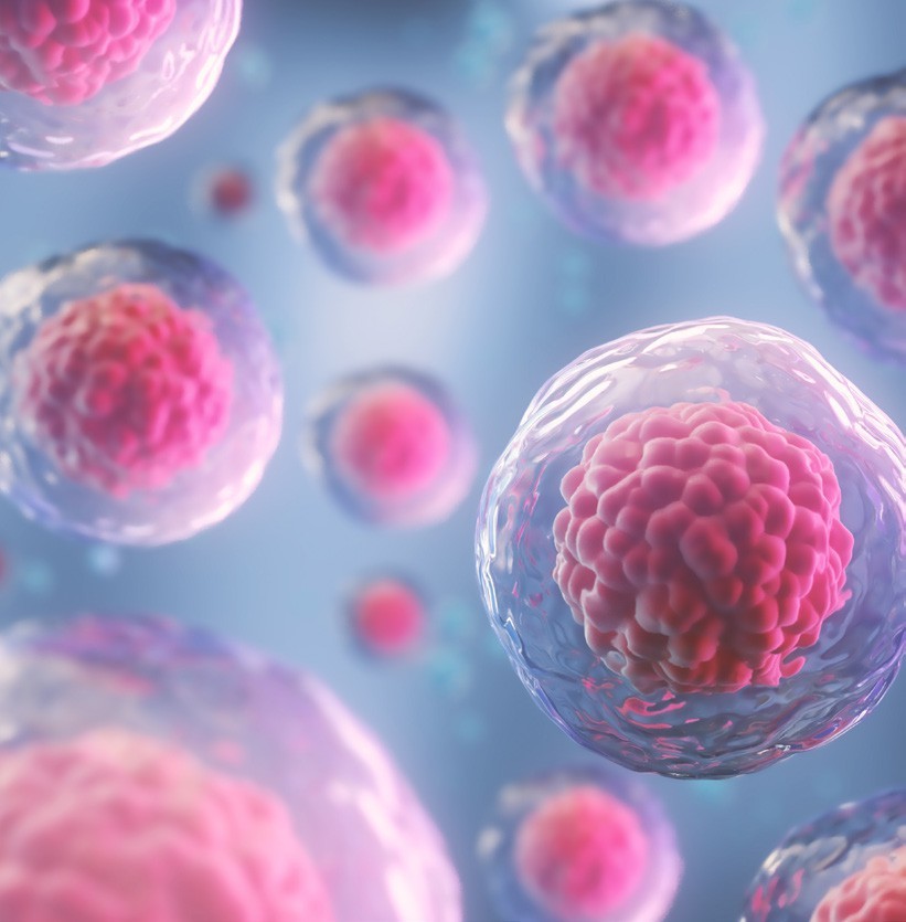 New Crohn’s disease treatment could come from neonatal stem cells ...