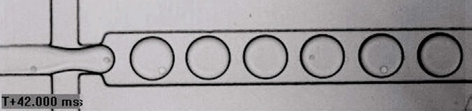 Droplet-based microfluidics advances for single-cell analysis