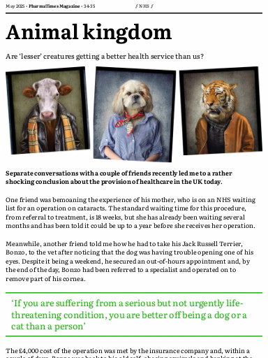 34-35 NHS - Animal kingdom