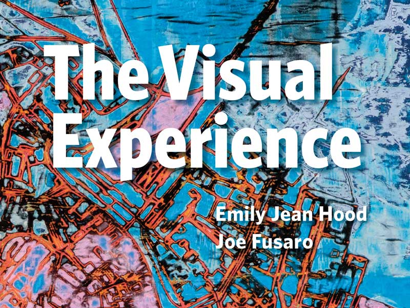 The Visual Experience from Davis