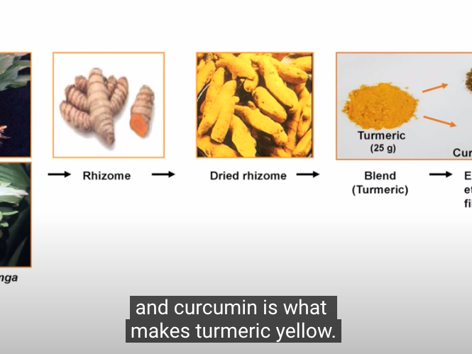 VIDEO: Turmeric Curcumin and Rheumatoid Arthritis