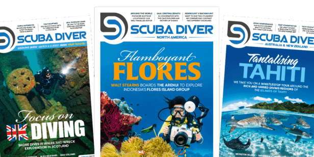 Scuba Diver Magazine